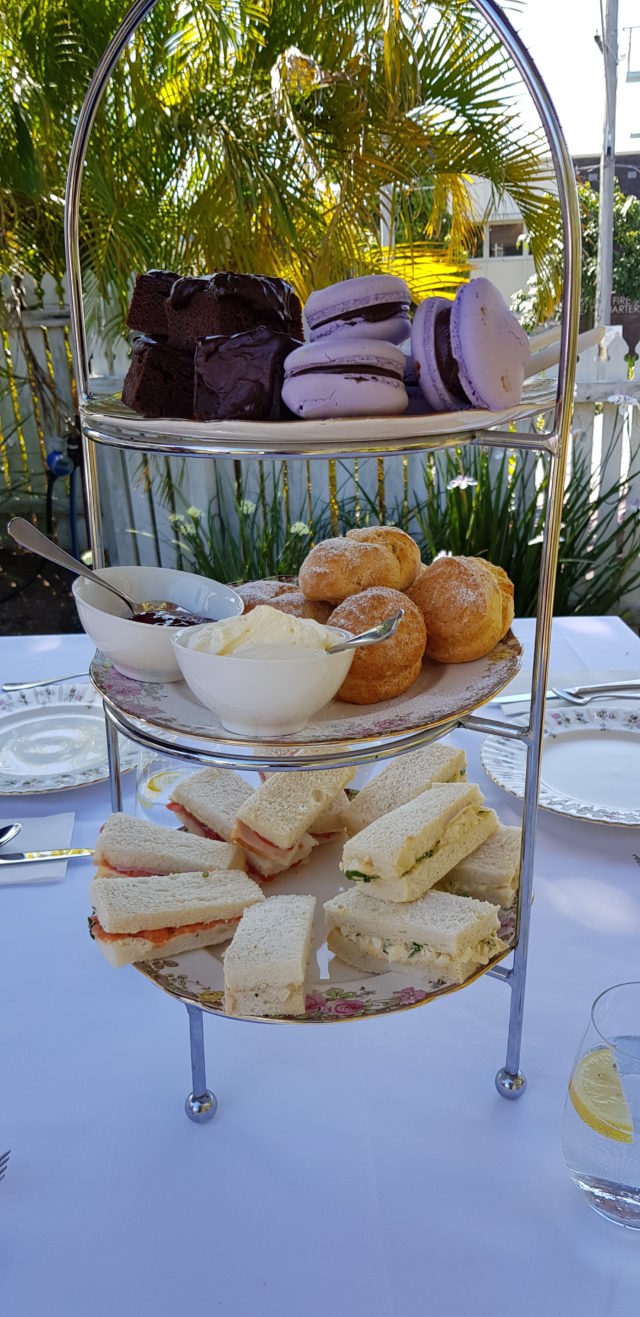 Celebrate Jacaranda season with purple cocktails and food! – Discover ...