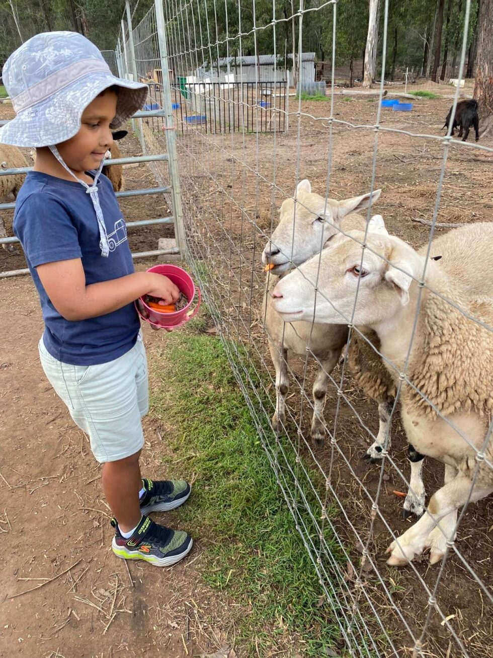 How to spend a weekend exploring farms – Discover Ipswich