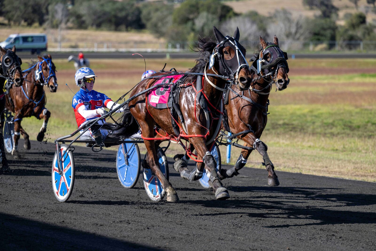 What's on: 25 fun things to do in Ipswich this November – Discover Ipswich