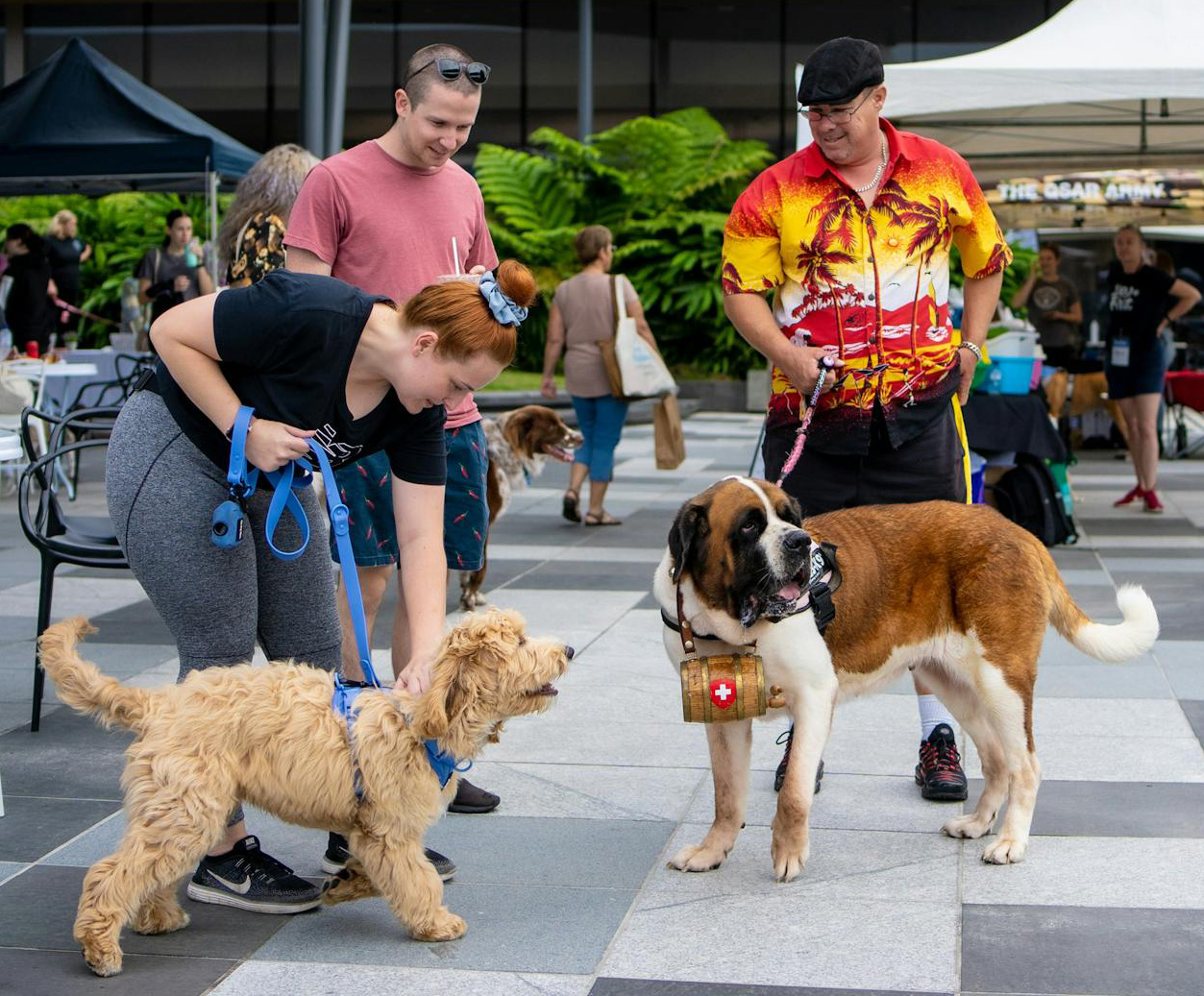 What's on: Fun ideas to fill up your calendar this June – Discover Ipswich