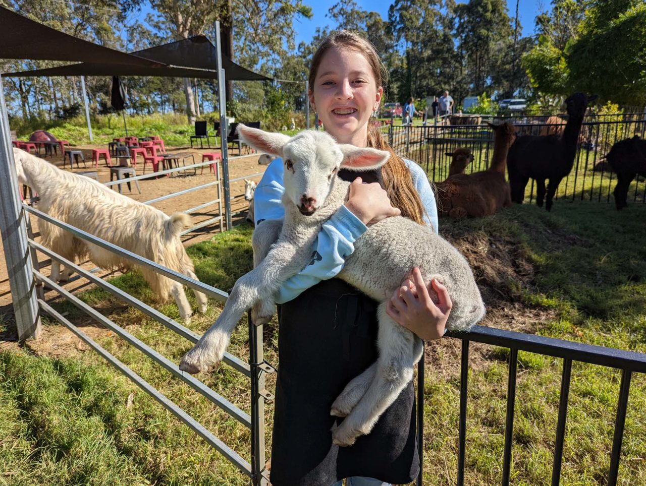 Marburg, the heart of a tiny town – Discover Ipswich