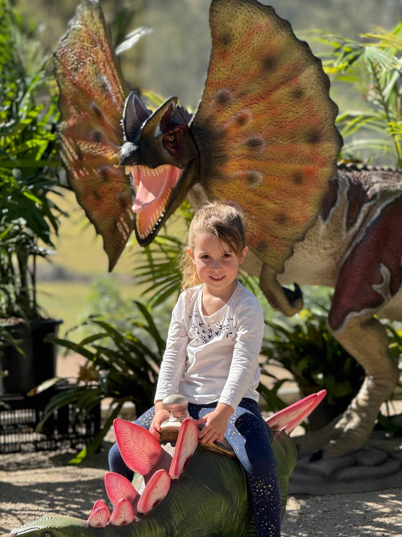 New dinosaur experience opens to the public – Discover Ipswich