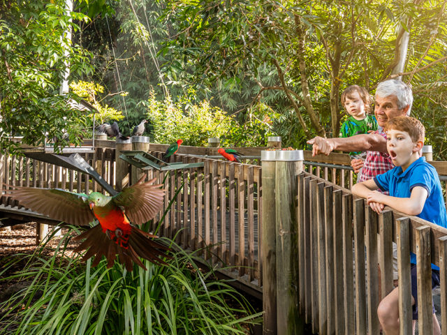 Group-040-Ipswich-Nature-Centre-Animal-Encounters – Discover Ipswich