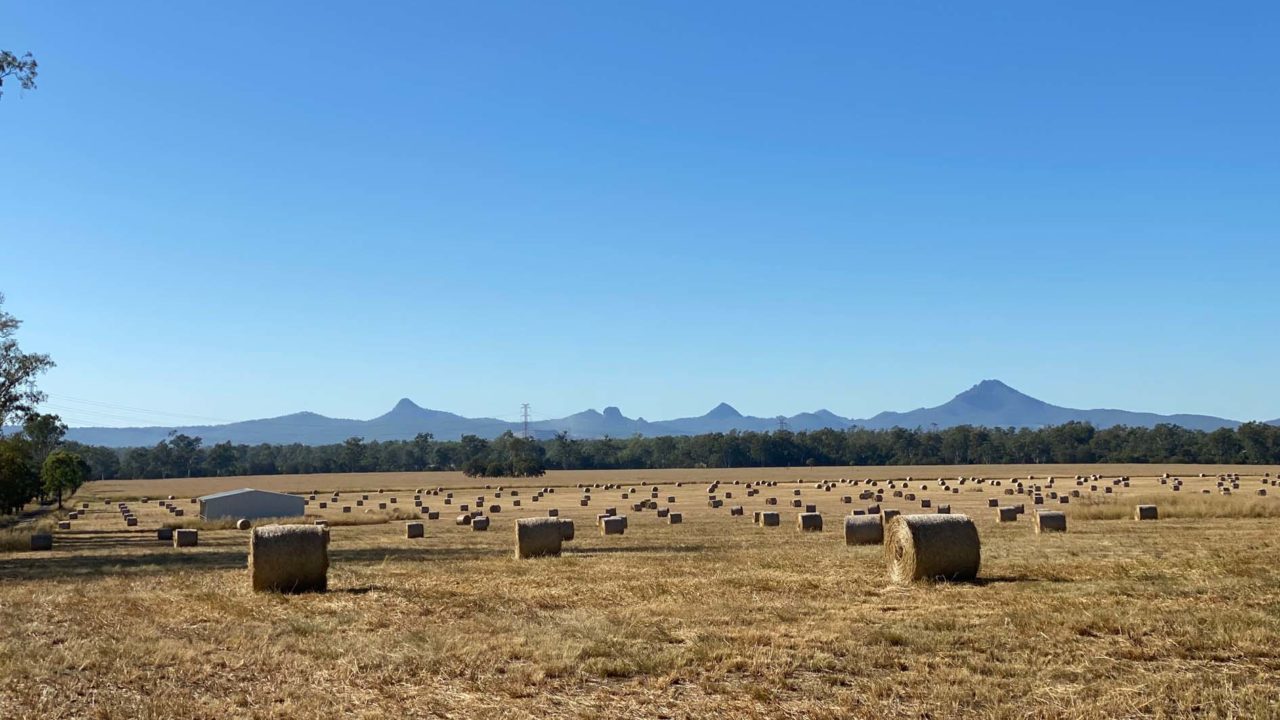 Keira Farm adds glamping and camping options – Discover Ipswich