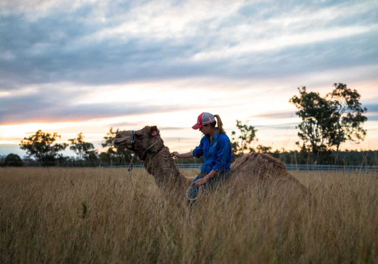 Get your gumboots on: Ipswich farm experiences – Discover Ipswich