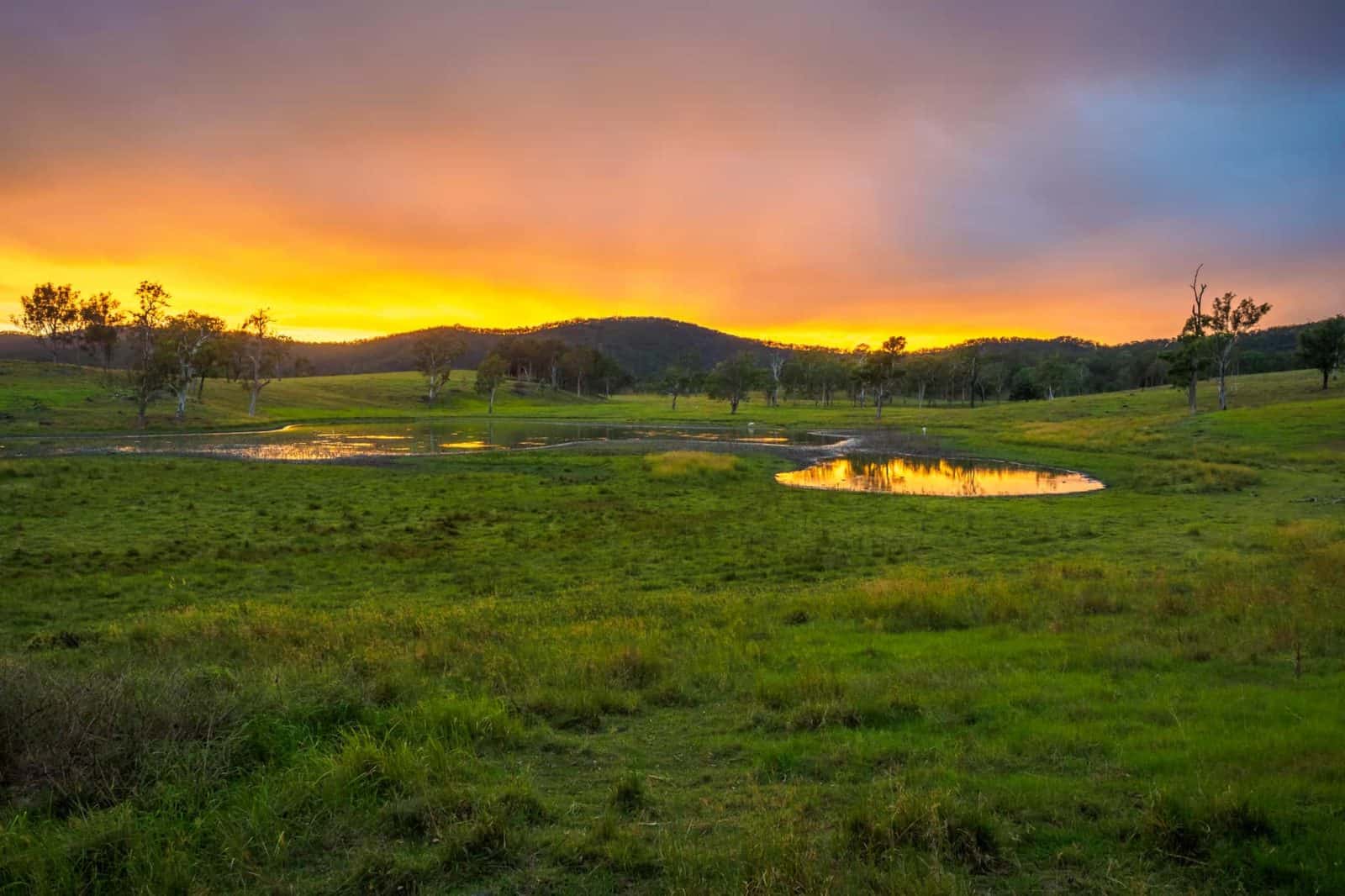 Hidden Landscapes of Ipswich – Discover Ipswich