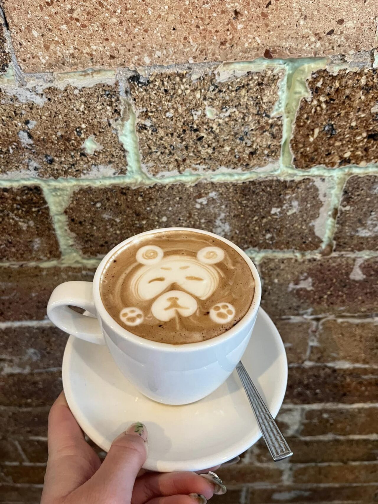 Ipswich dog-friendly venues for a ‘pawfect’ day out – Discover Ipswich
