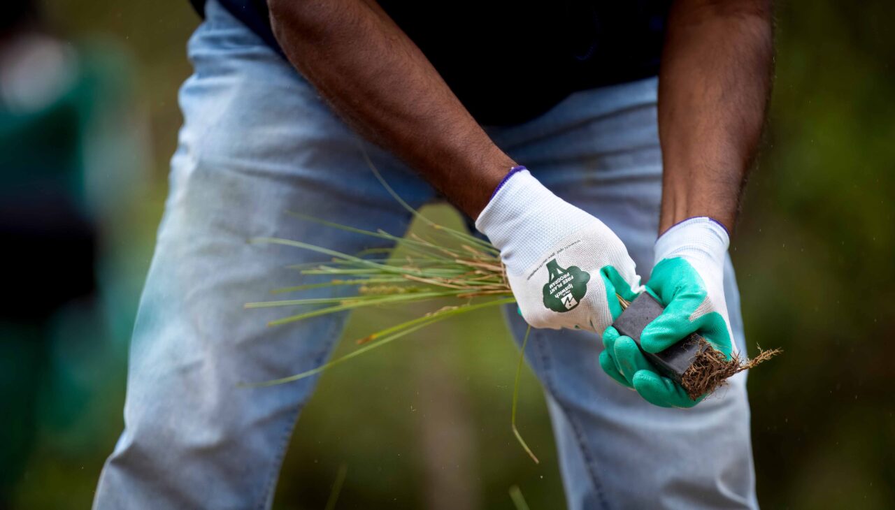 Explore eco-activities in Ipswich during Peaks to Points – Discover Ipswich