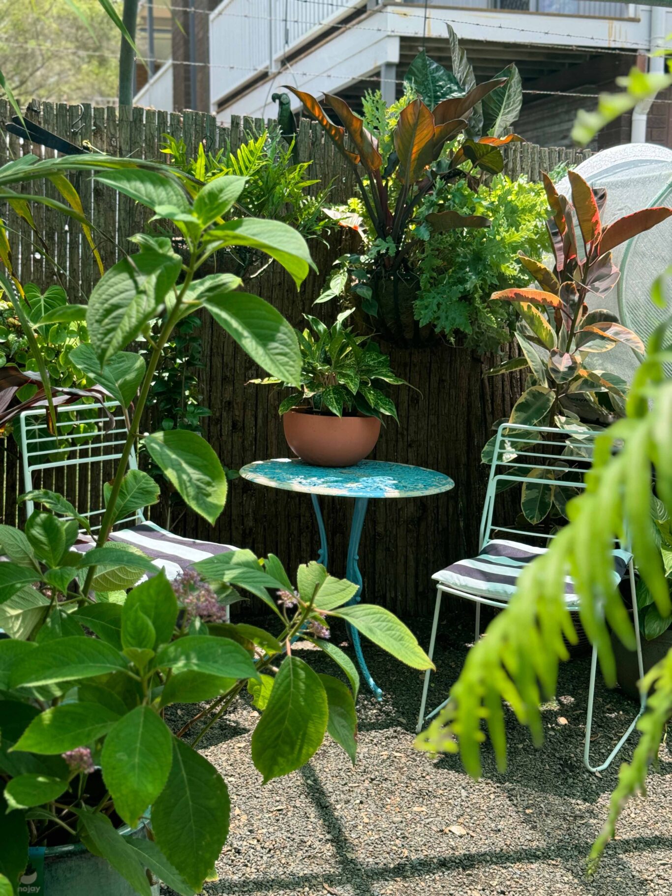 Ipswich Café favourites – Discover Ipswich