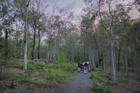 Great Trails of Ipswich - Walking Tour at White Rock Spring Mountain ...