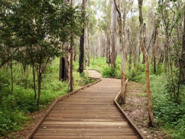 Ipswich Cycling Onya bike: the best cycling spots around Ipswich