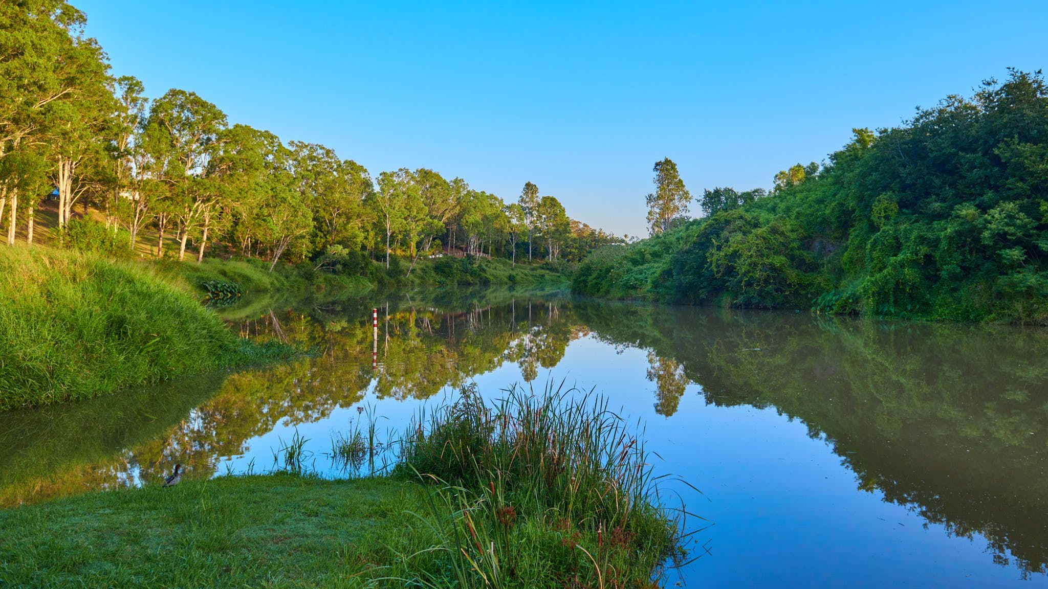 Cribb Park – Discover Ipswich