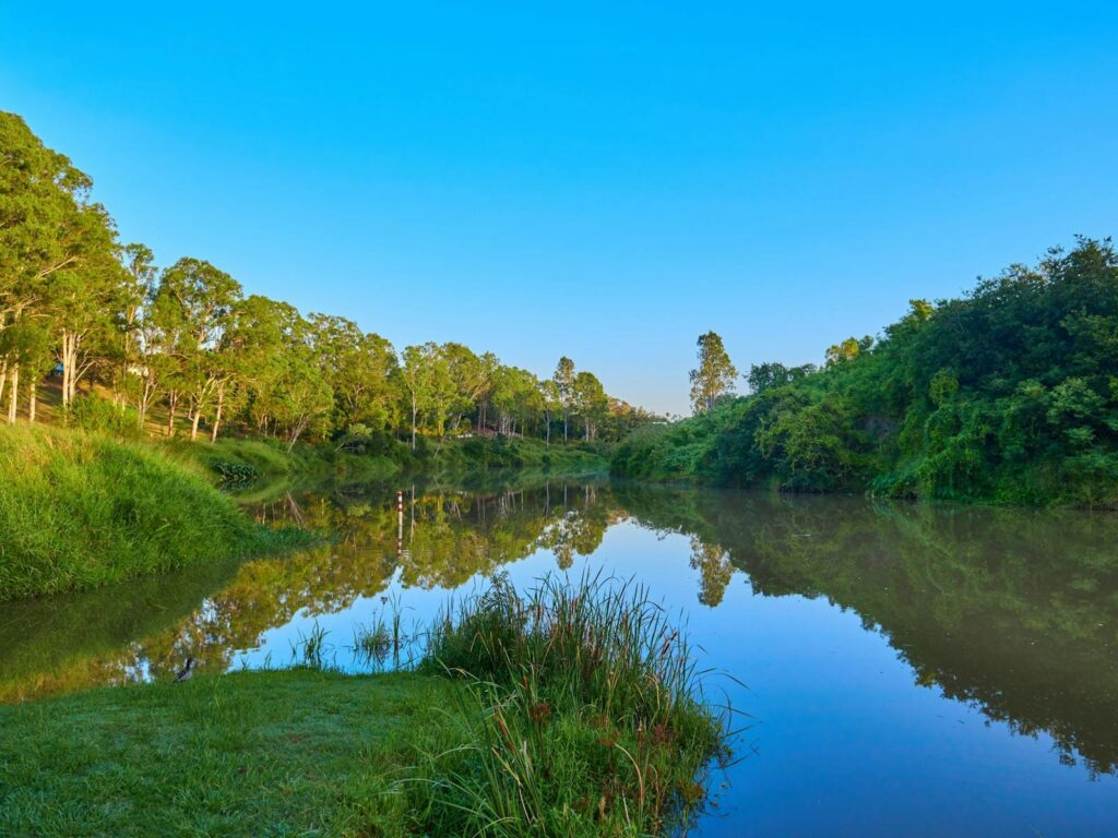 Cribb Park – Discover Ipswich