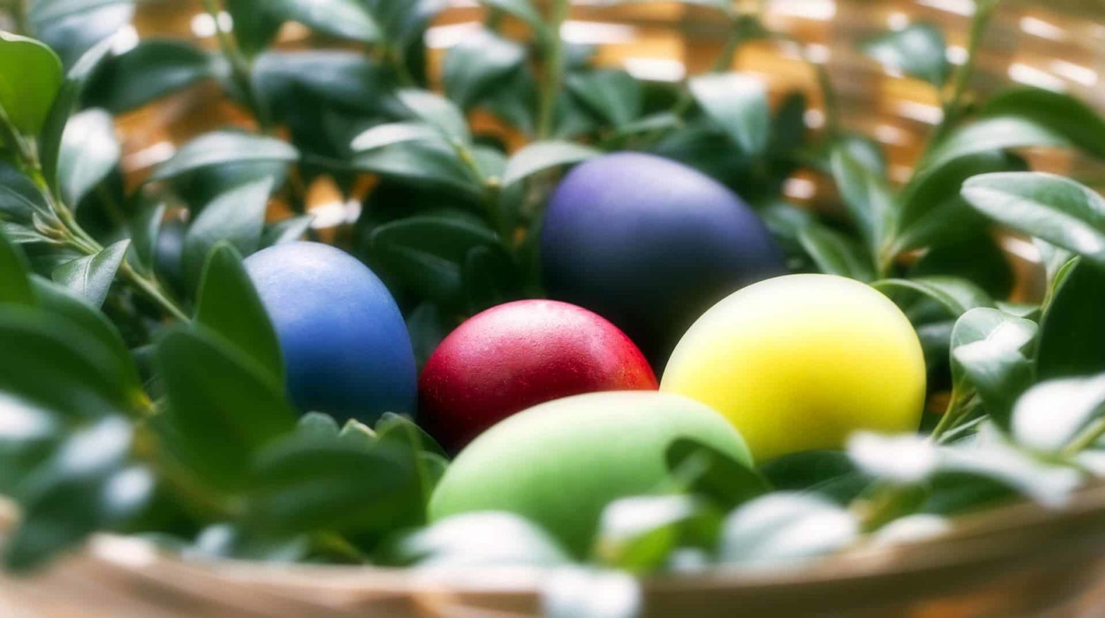 What's on during the Easter school holidays – Discover Ipswich