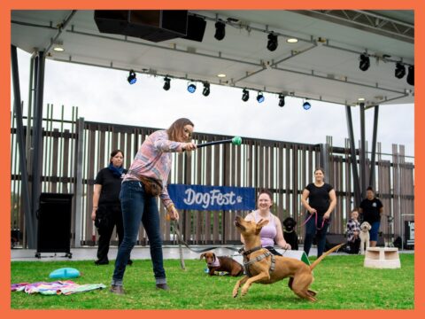 What's on: Fun ideas to help you discover more of Ipswich this May ...