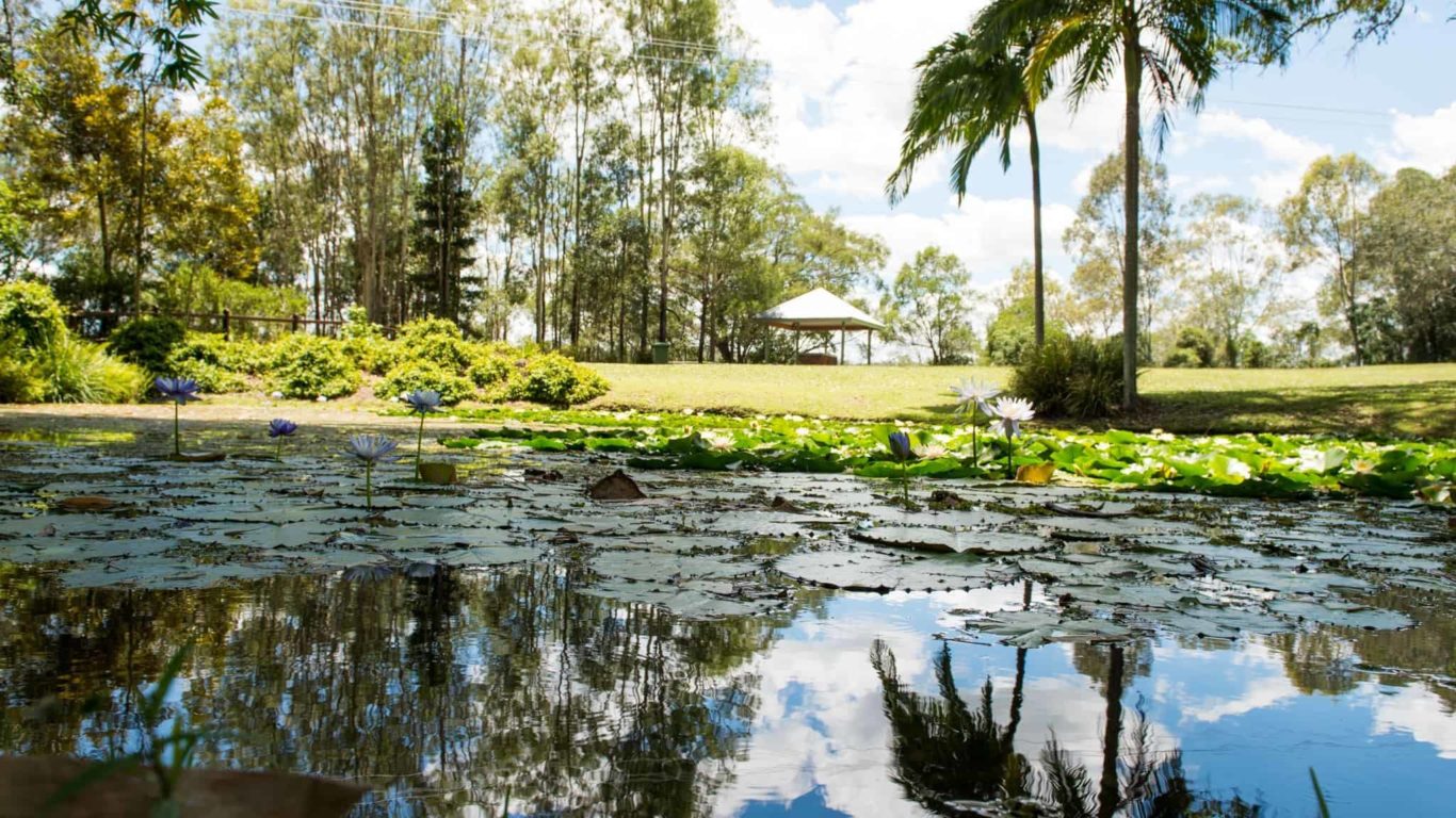 Kholo Gardens – Discover Ipswich