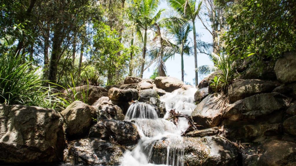 Kholo Gardens – Discover Ipswich