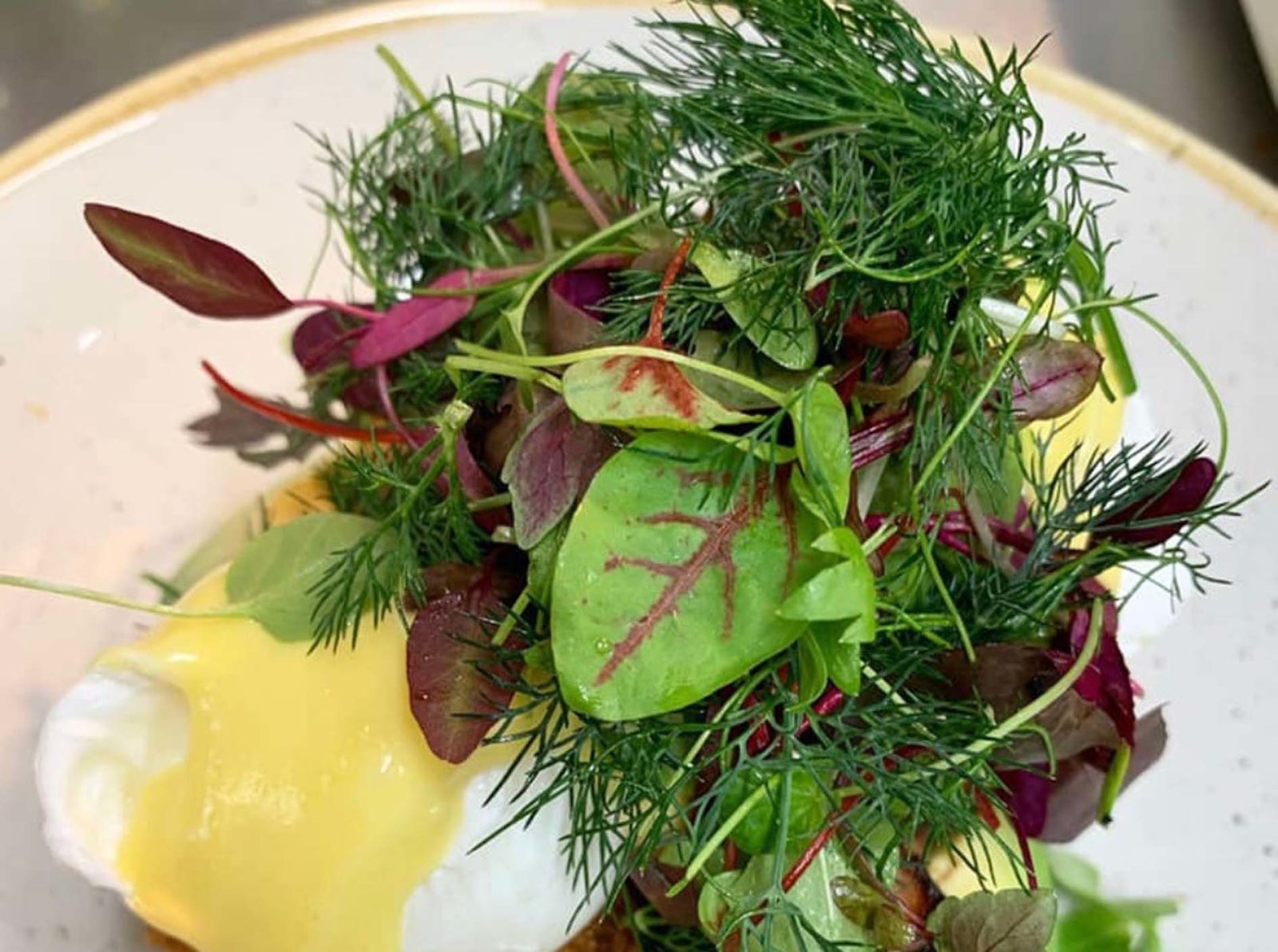 20 Cafes To Taste Test Around Ipswich Discover Ipswich 20-cafes-to-taste-test-around-ipswich-discover-ipswich