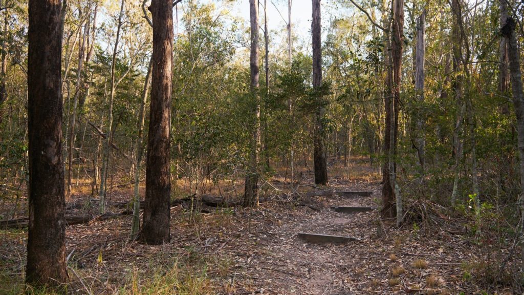 Walter Zimmerman Park – Discover Ipswich