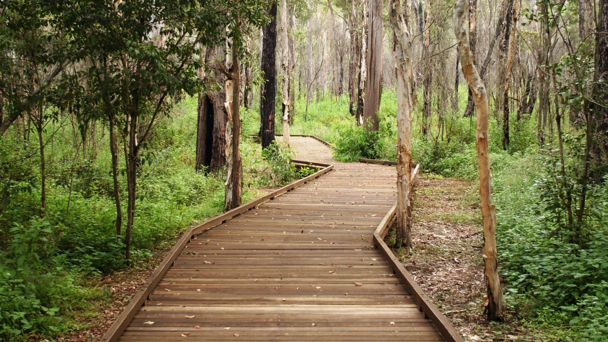White Rock - Spring Mountain Conservation Estate – Discover Ipswich