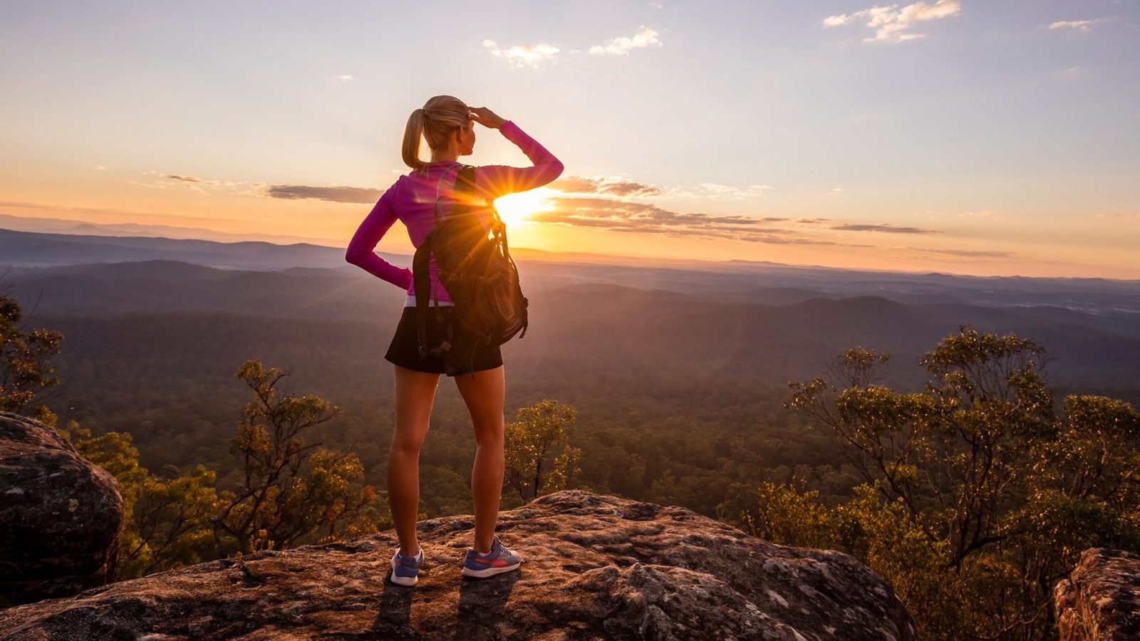 White Rock - Spring Mountain Conservation Estate – Discover Ipswich